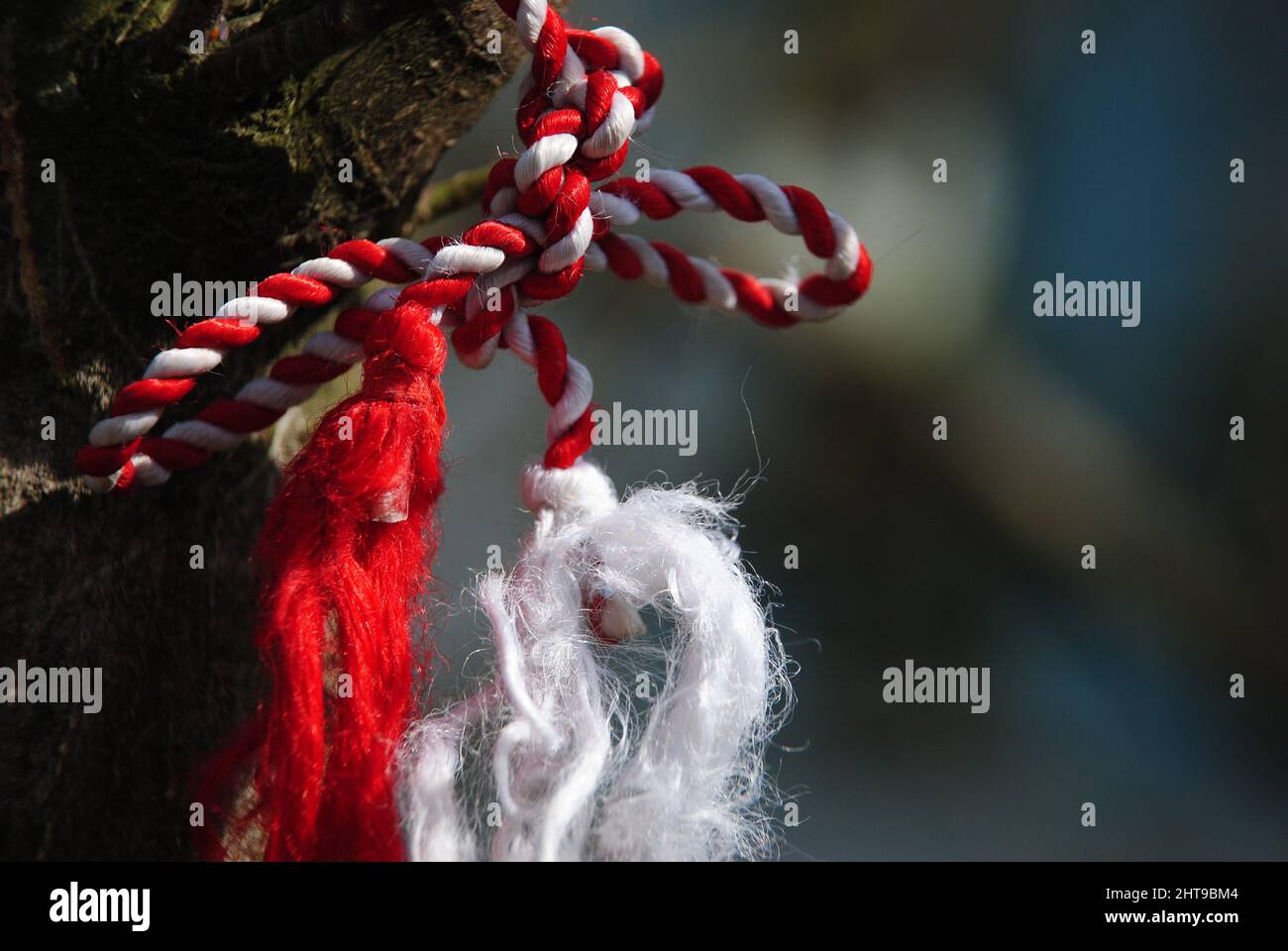 Shallow focus of a Red and white rope toy, Twisted rope with knots at ...