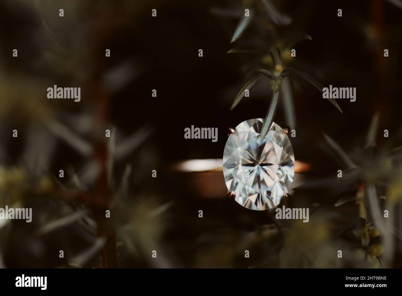 Shallow focus of a shiny elegant big ring with tree flowers in the ...