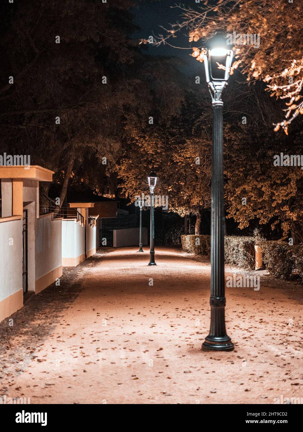View of street lights in a park at night Stock Photo - Alamy