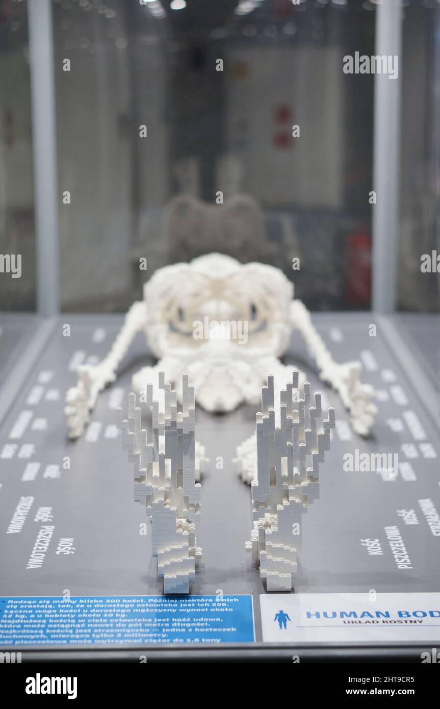 Laying skeleton made of bricks at a Lego exhibition in the Galeria ...