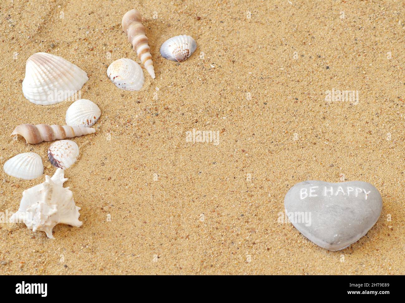 Different types of shells hi-res stock photography and images - Alamy