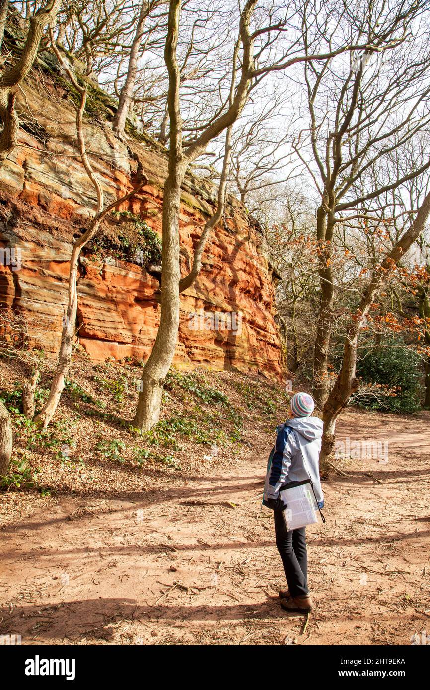 Woman viewing a section through part of the Cheshire Sandstone ridge ...