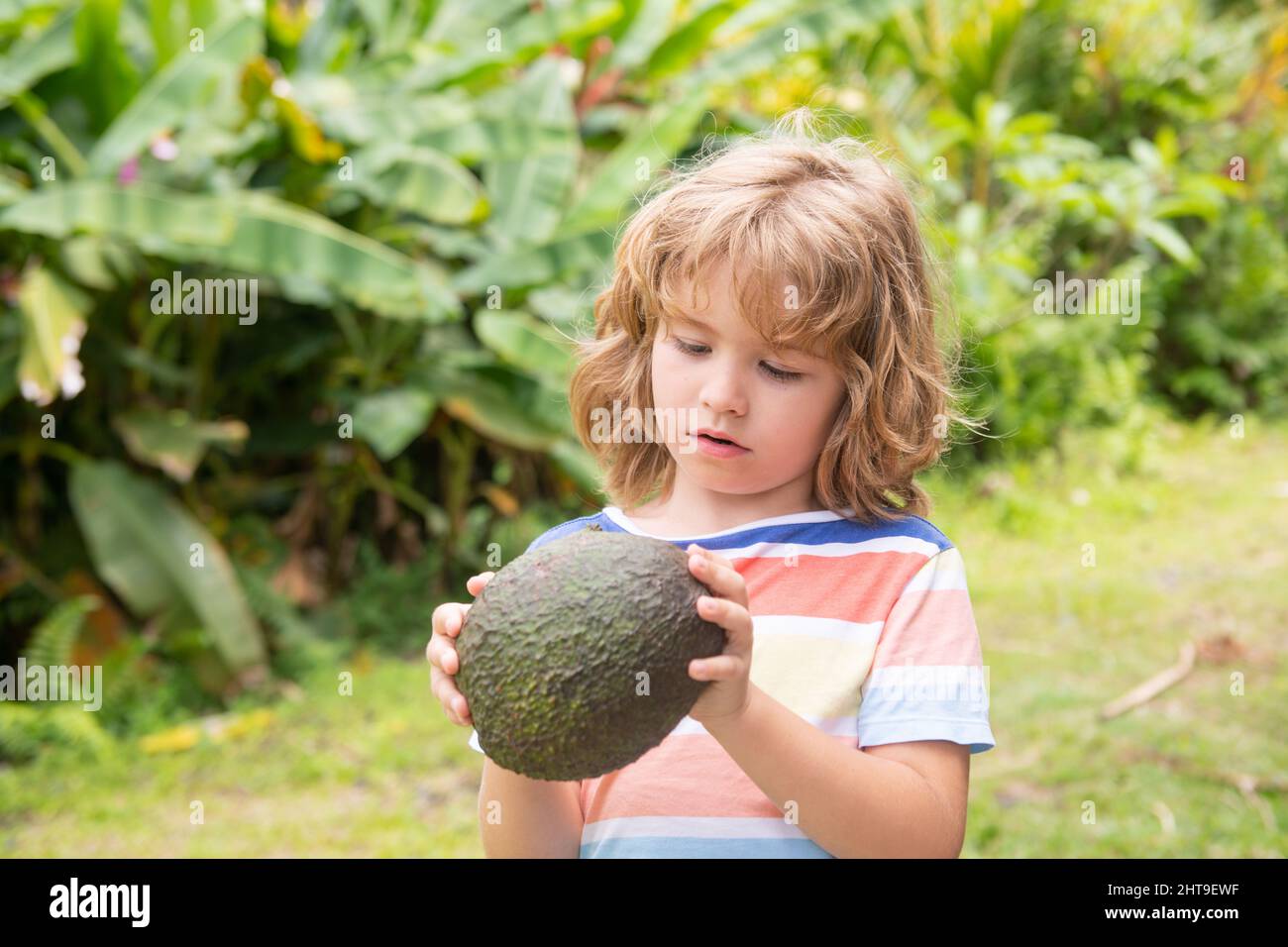Cute boy hold avocado, close up portrait on nature background Stock ...