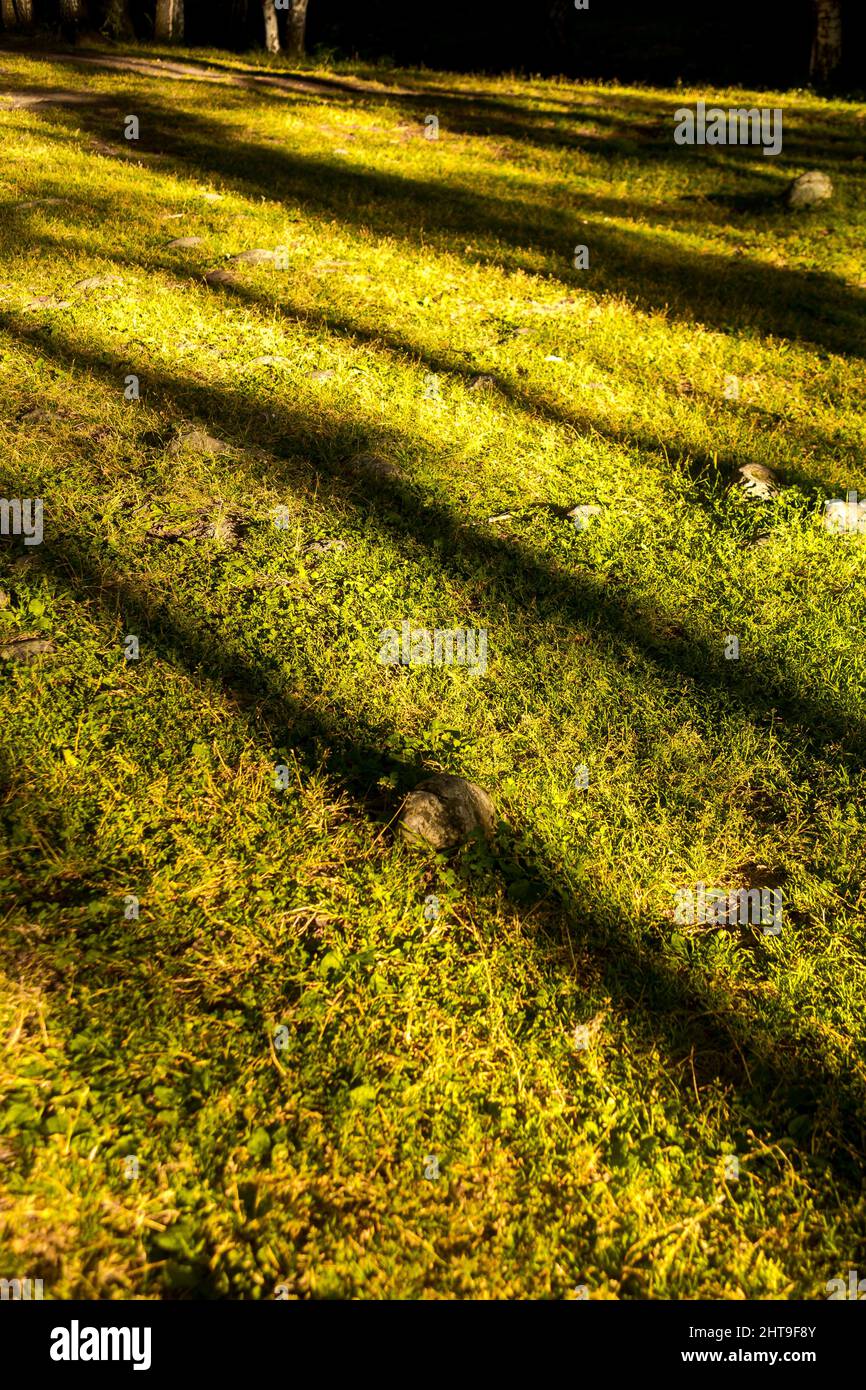 Vertical shot of shadows on green grasslands in the Hemu Village in ...