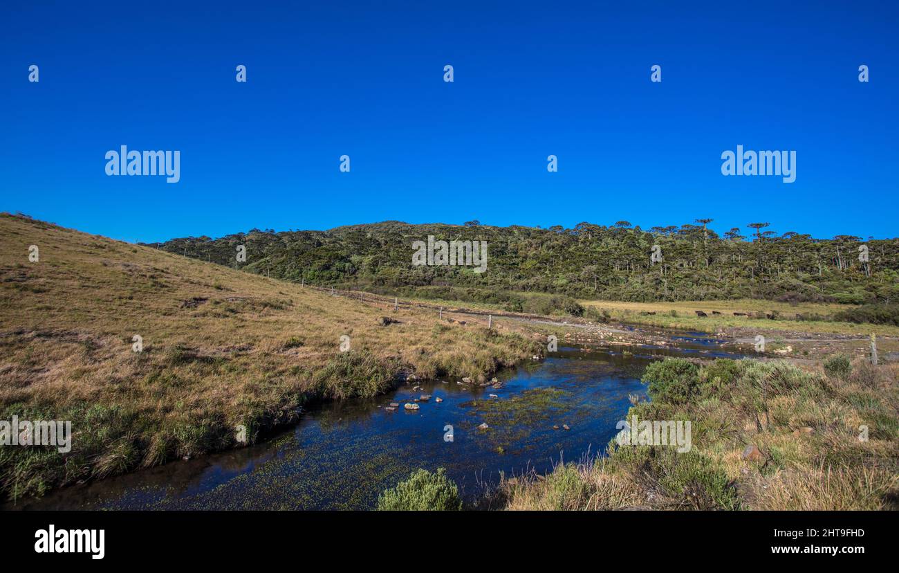 Rural landscape in southern Brazil Stock Photo - Alamy