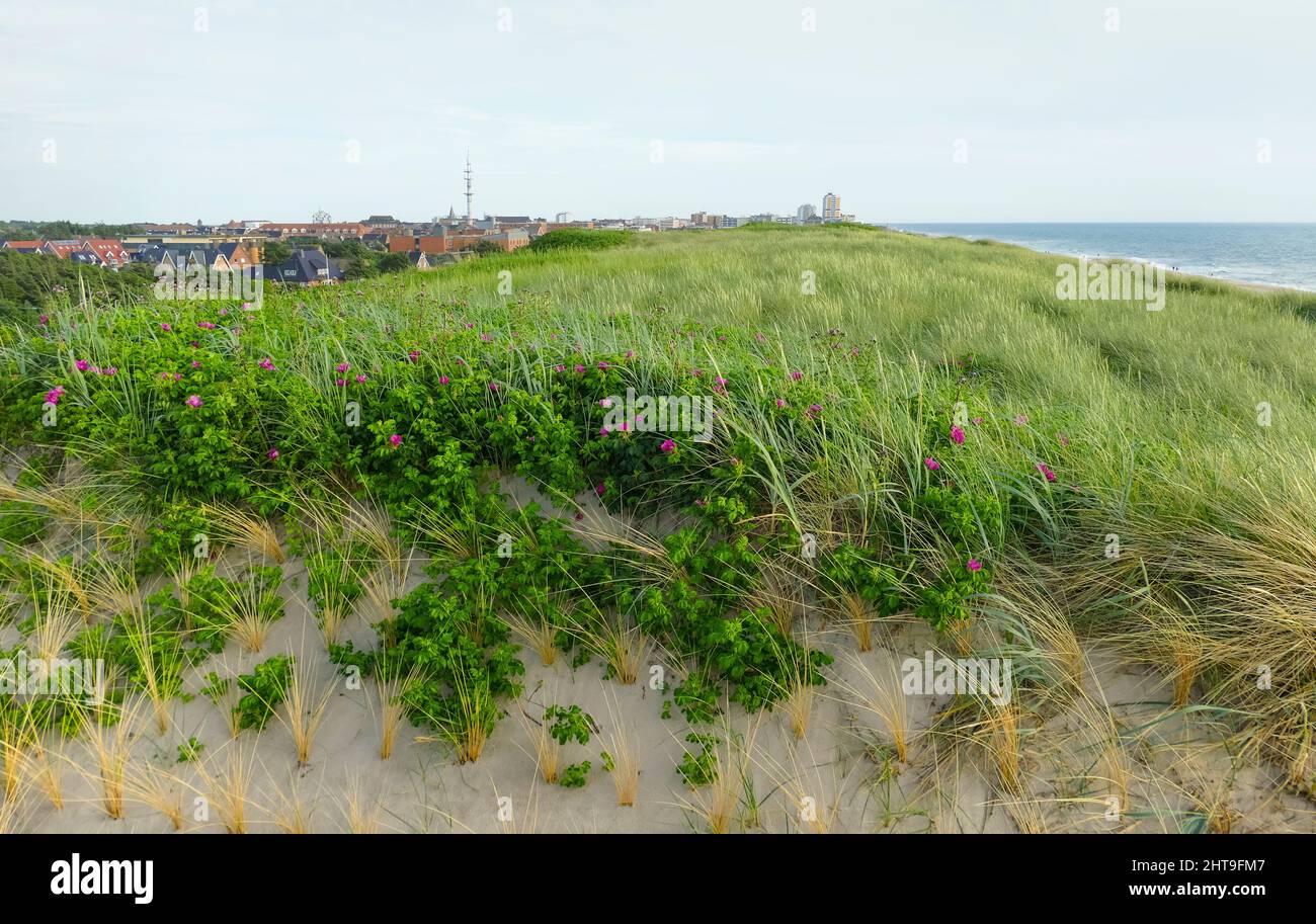 Islands of germany hi-res stock photography and images - Alamy