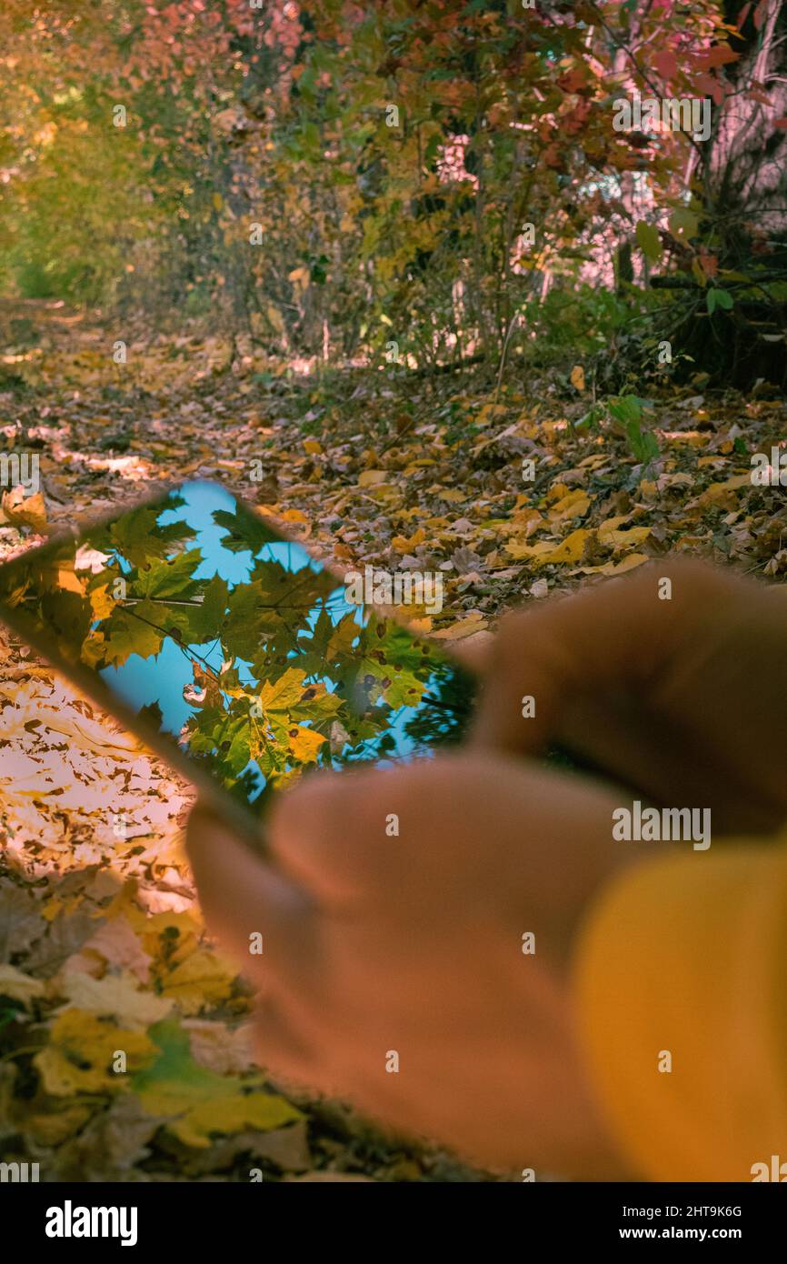 Relfecting hi-res stock photography and images - Alamy