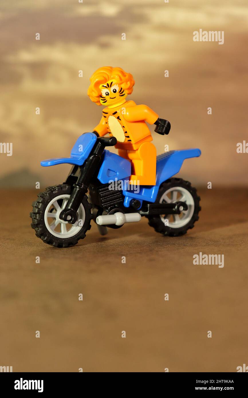 Lego tiger hi-res stock photography and images - Alamy