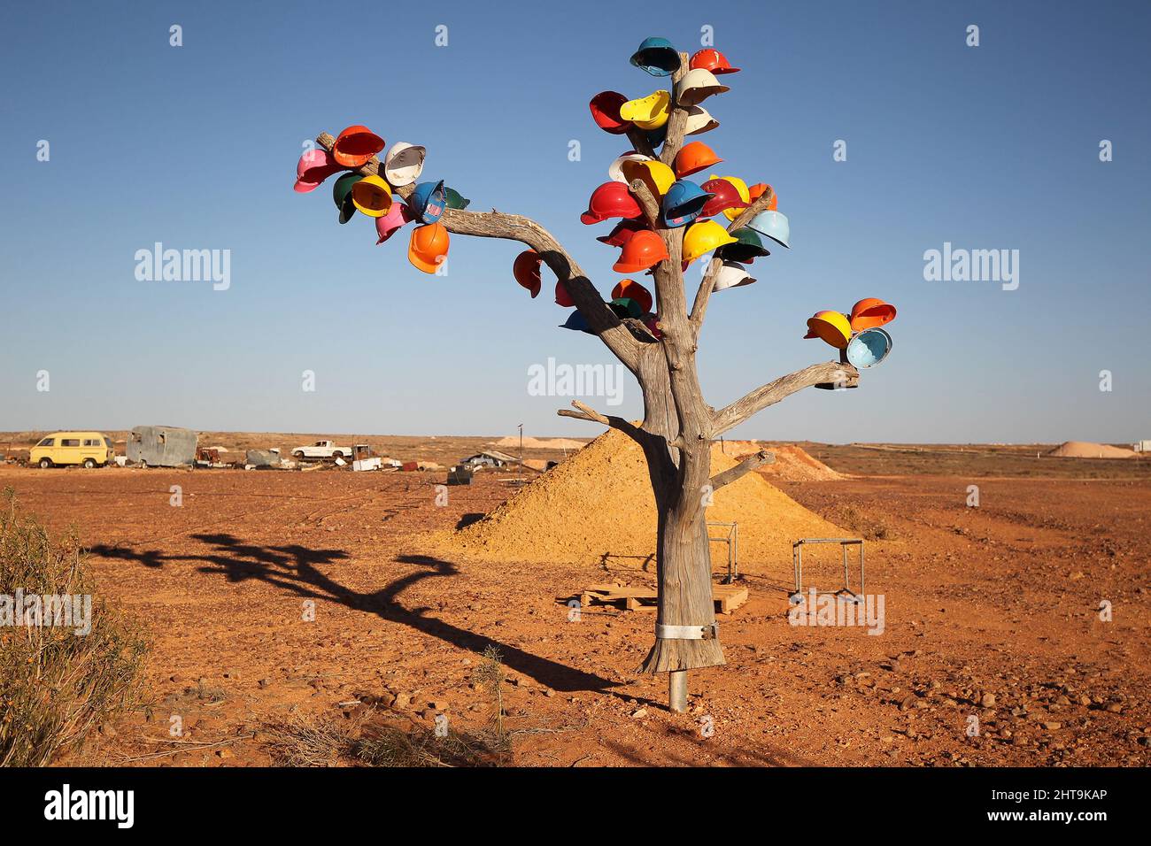 Colorful helmets on a tree in the desert in Outback, Australia Stock ...