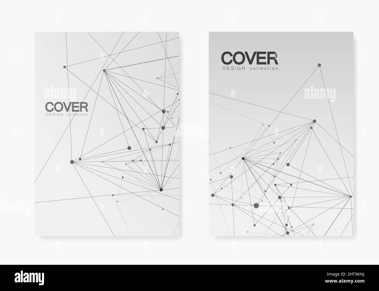 Abstract Polygonal Geometric Shape With Molecule Structure Style Connect Lines And Dots Cover