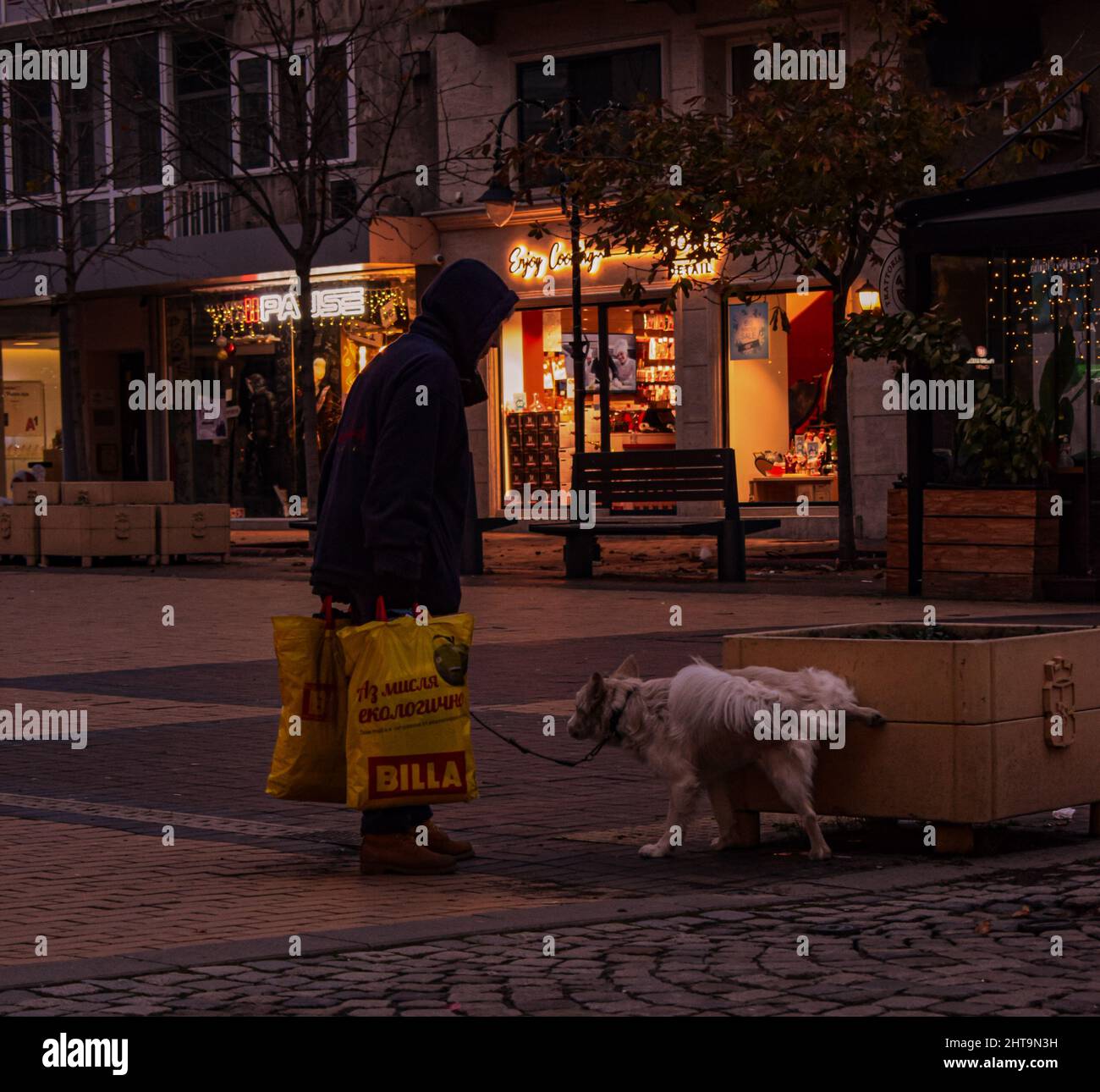 View of a man with a dog in a street Stock Photo - Alamy