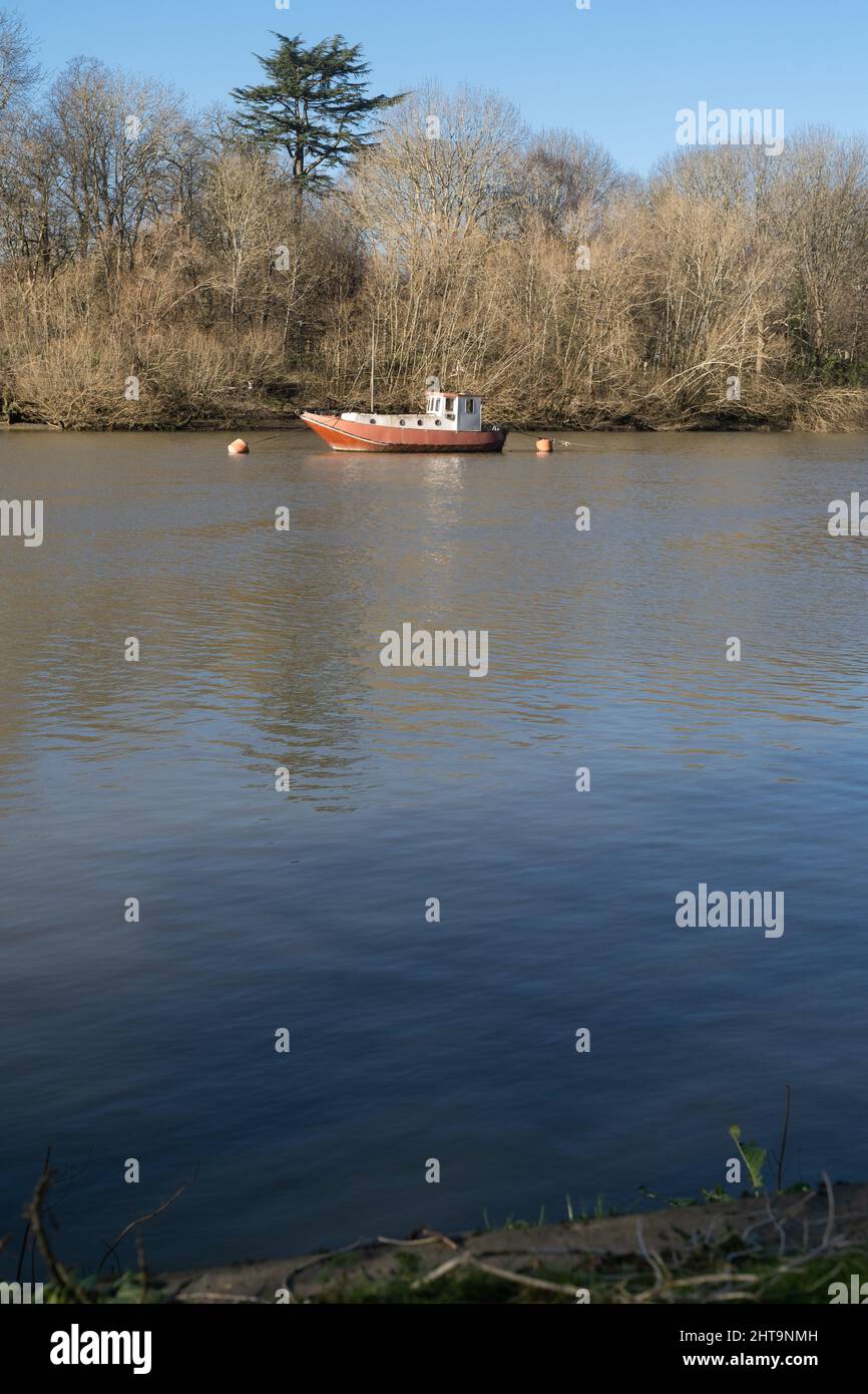 Lone boat on the river thames, Richmond, London Stock Photo - Alamy