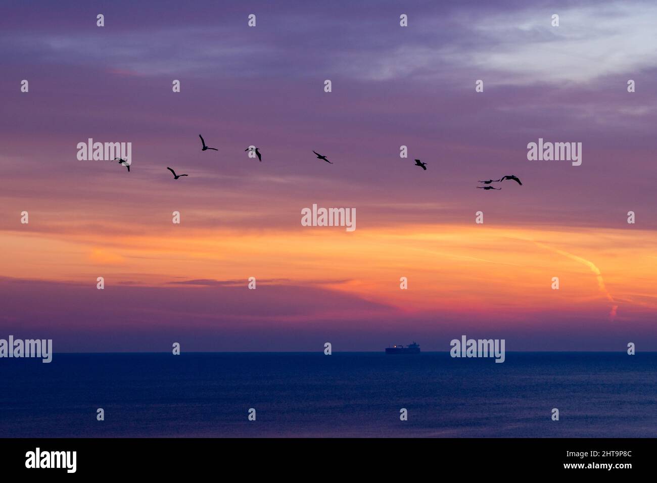 Horizontal background of flying birds silhouettes against vibrant ...