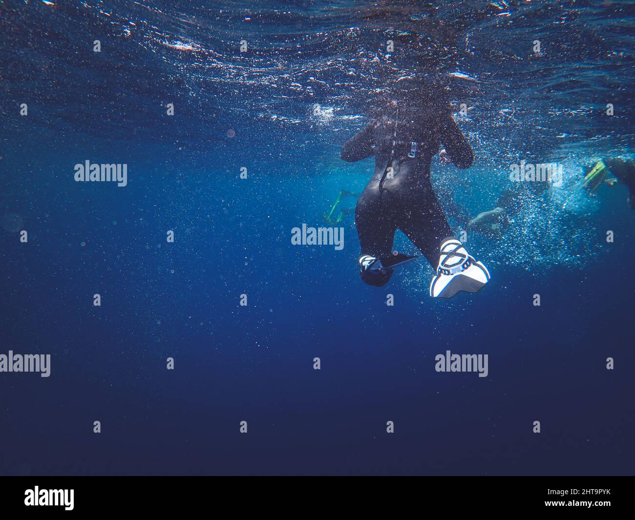 Person scuba diving in the ocean Stock Photo - Alamy