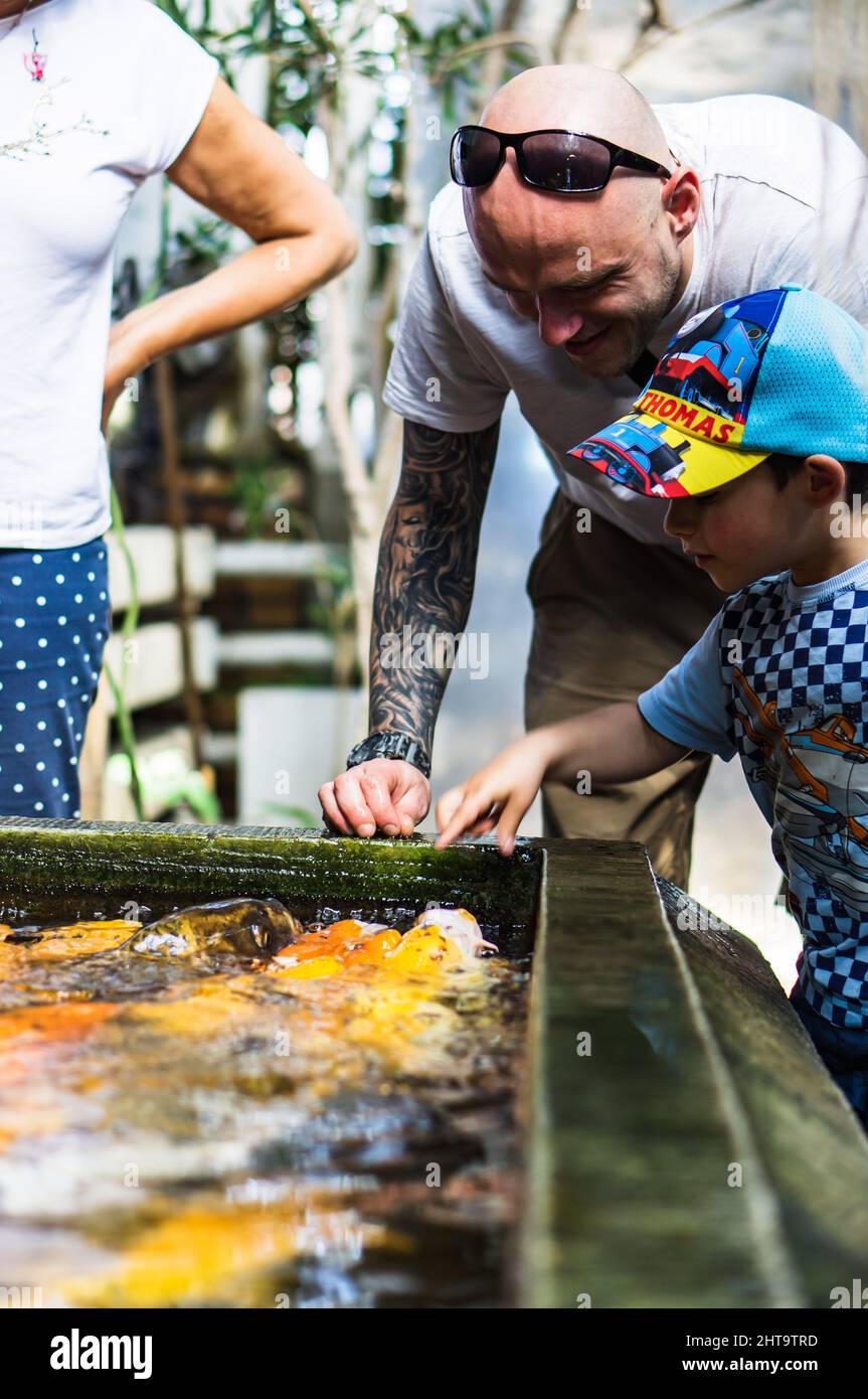 Bald man and a child looking at carp fish Stock Photo - Alamy