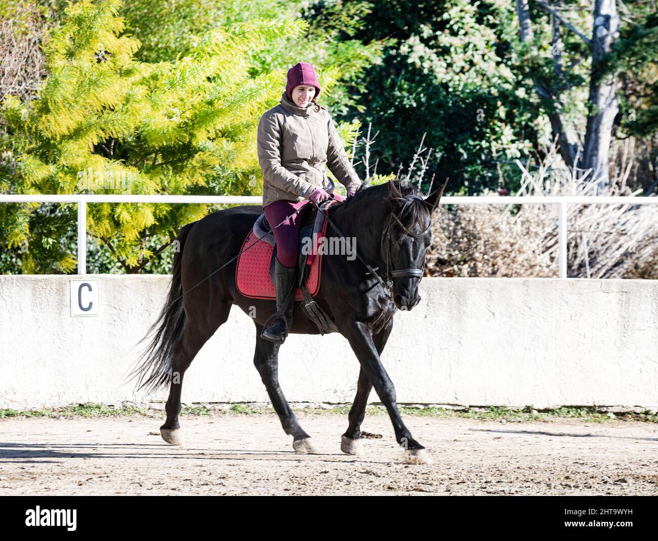 riding girl are training her black horse Stock Photo - Alamy