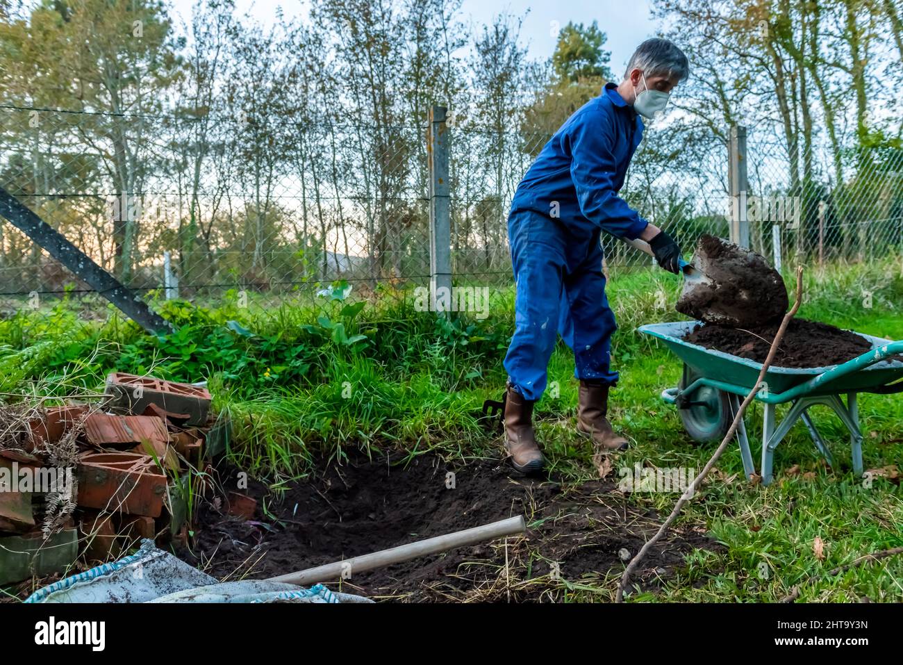 Gardener planting a tree hi-res stock photography and images - Alamy