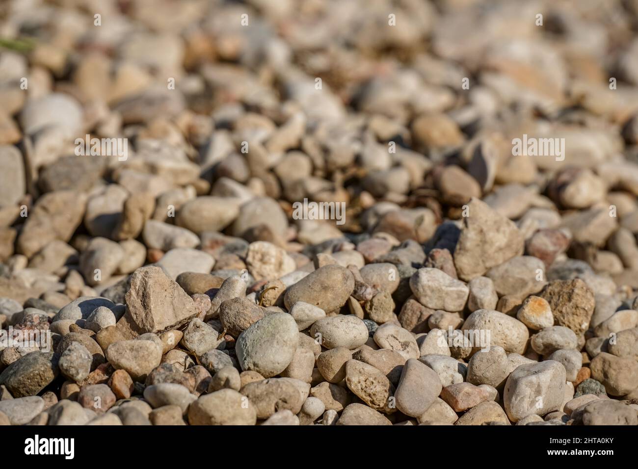 Smooth round beach pebbles background, natural texture closeup Stock ...