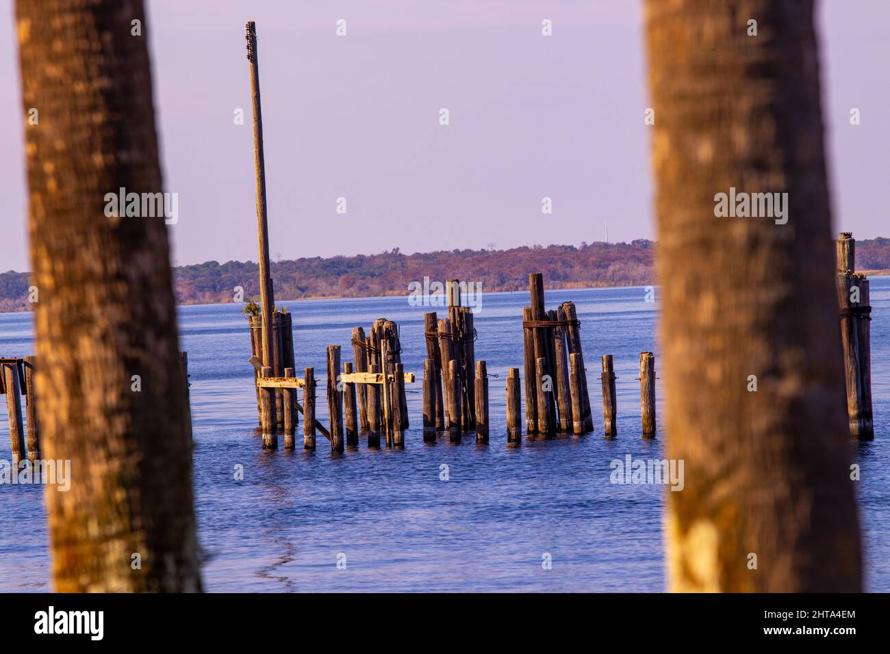 Bunch of tall wooden structures in blue water Stock Photo - Alamy