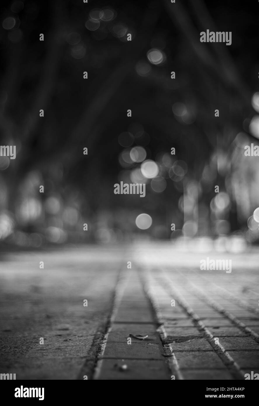 Vertical shot of a path of a park seen at ground level Stock Photo - Alamy