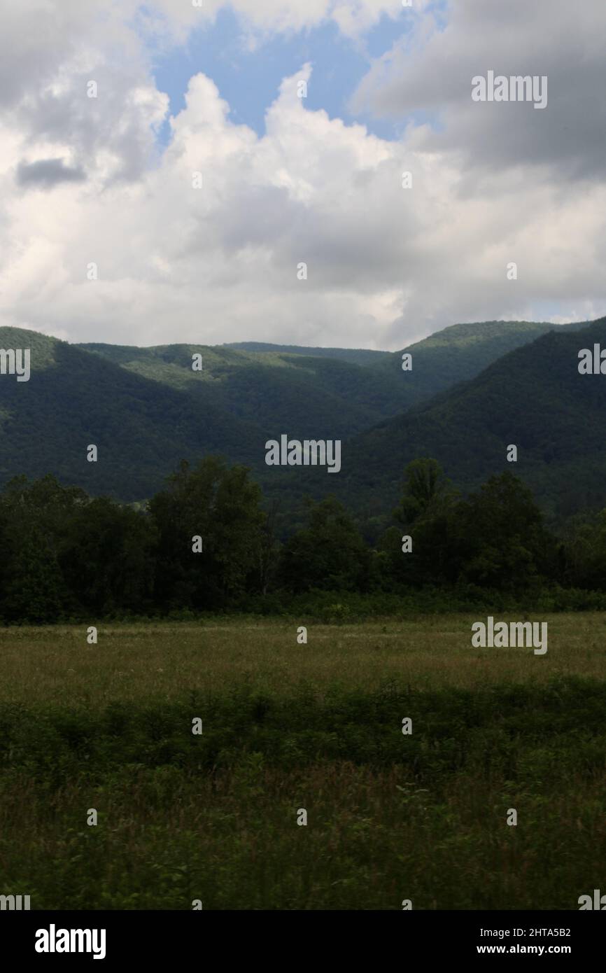 Beautiful plot hi-res stock photography and images - Alamy