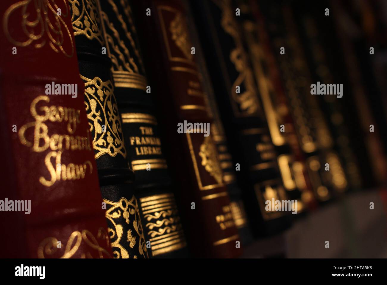 Selective focus shot of gold lettering on antique book covers on a ...