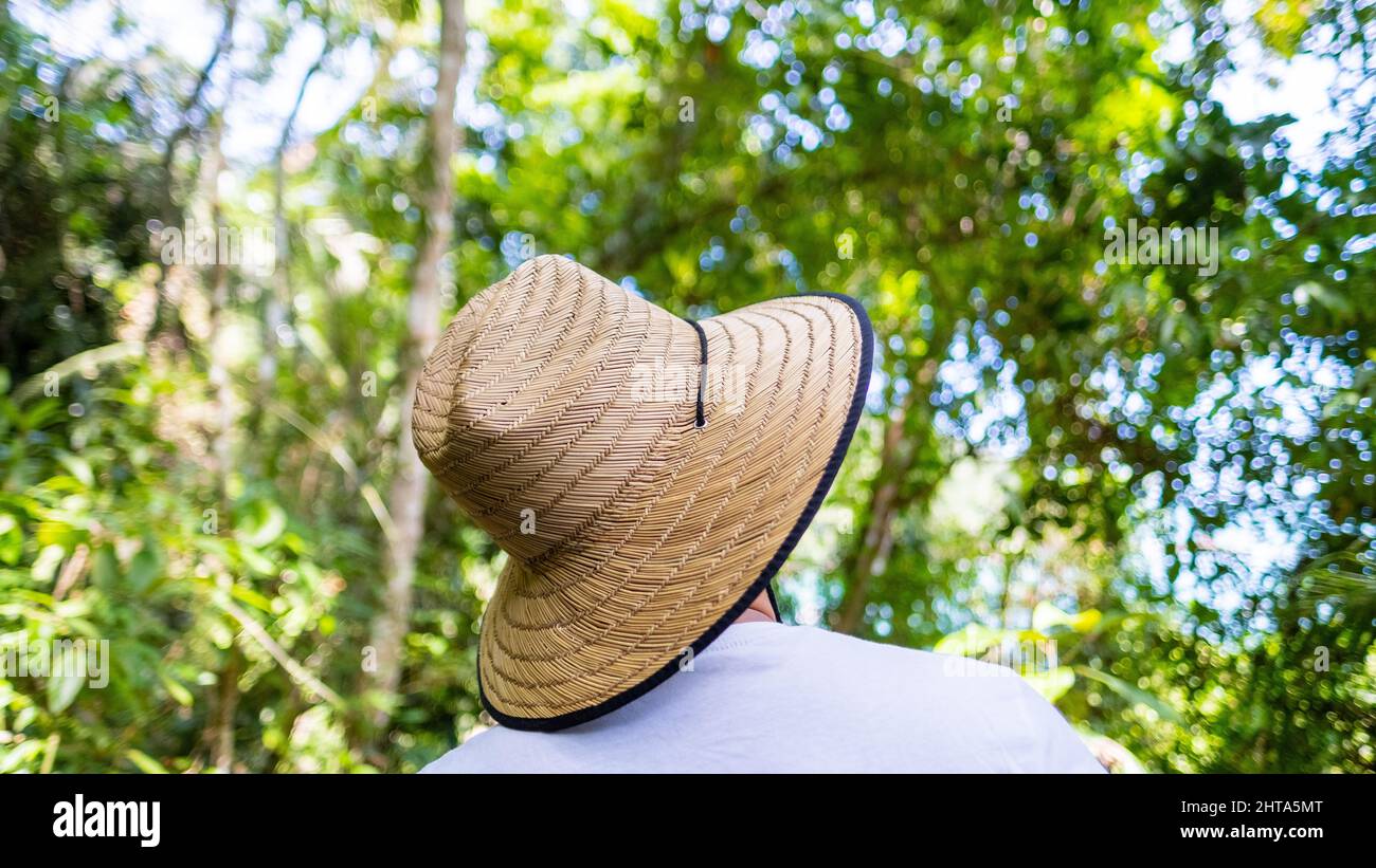 Rear view of a man in a typical Brazilian hat in a jungle Stock Photo ...