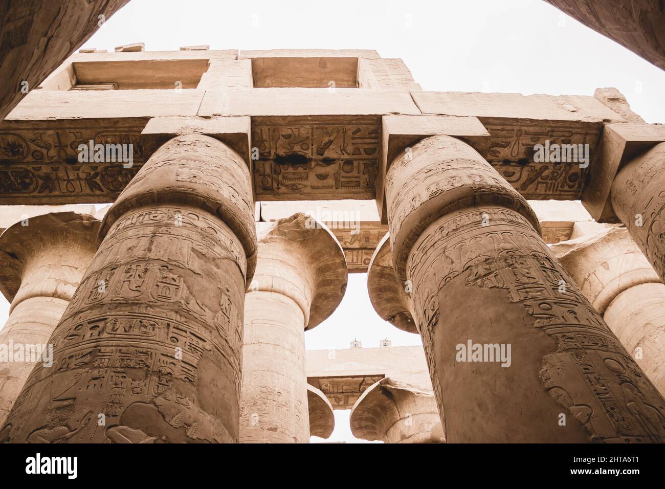Bottom shot of ancient Egyptian lotus columns Stock Photo - Alamy