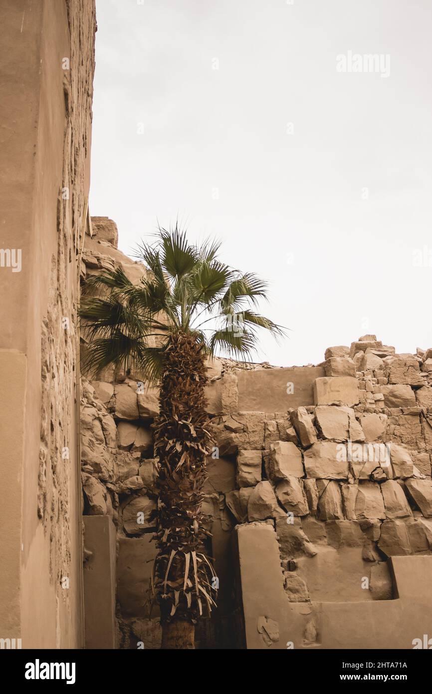 Vertical shot of an ancient building in Luxor, Egypt Stock Photo - Alamy