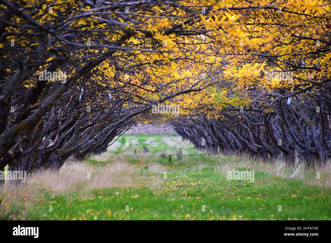 Rural hospital america hi-res stock photography and images - Alamy