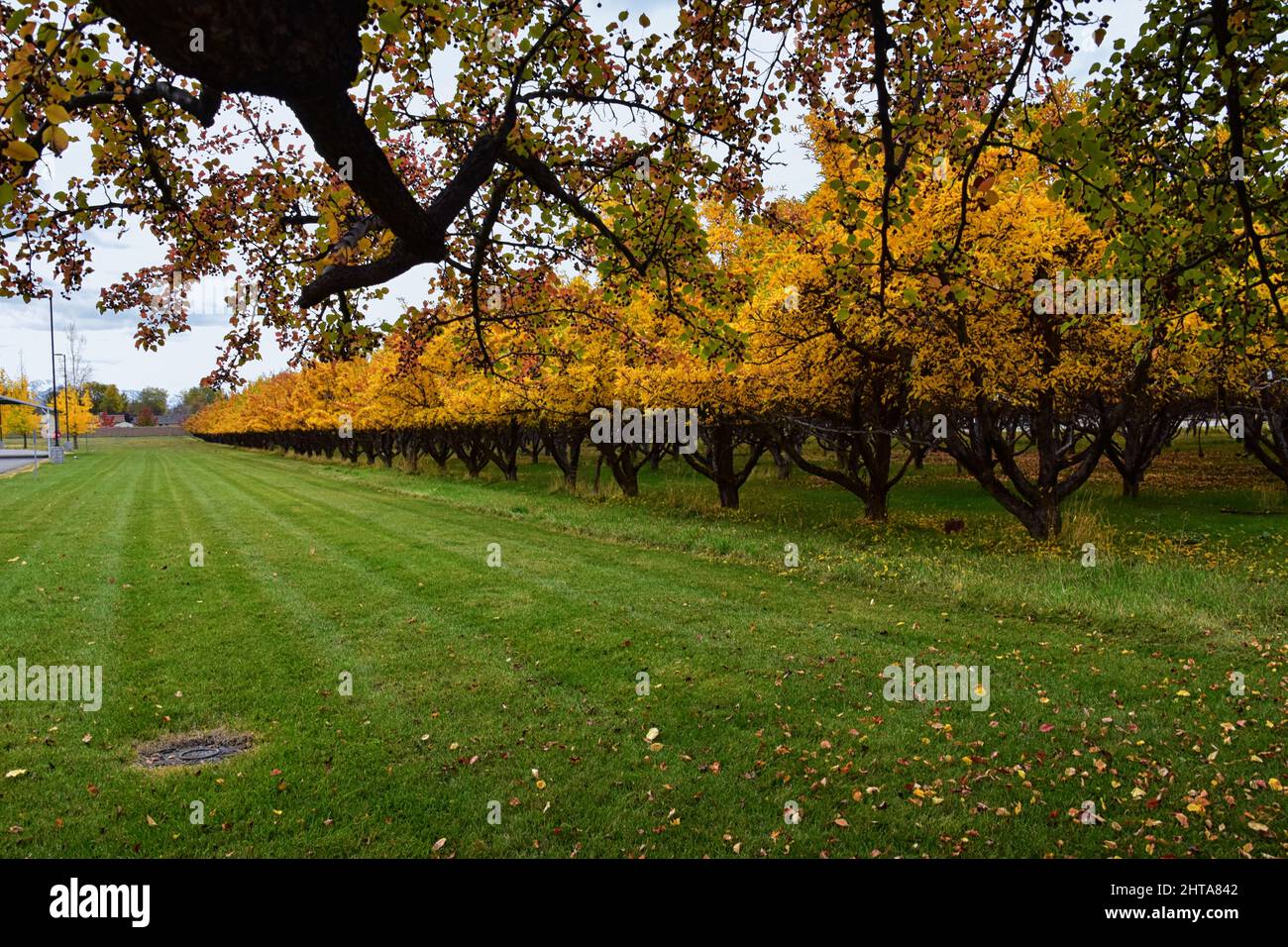 Rural hospital america hi-res stock photography and images - Alamy
