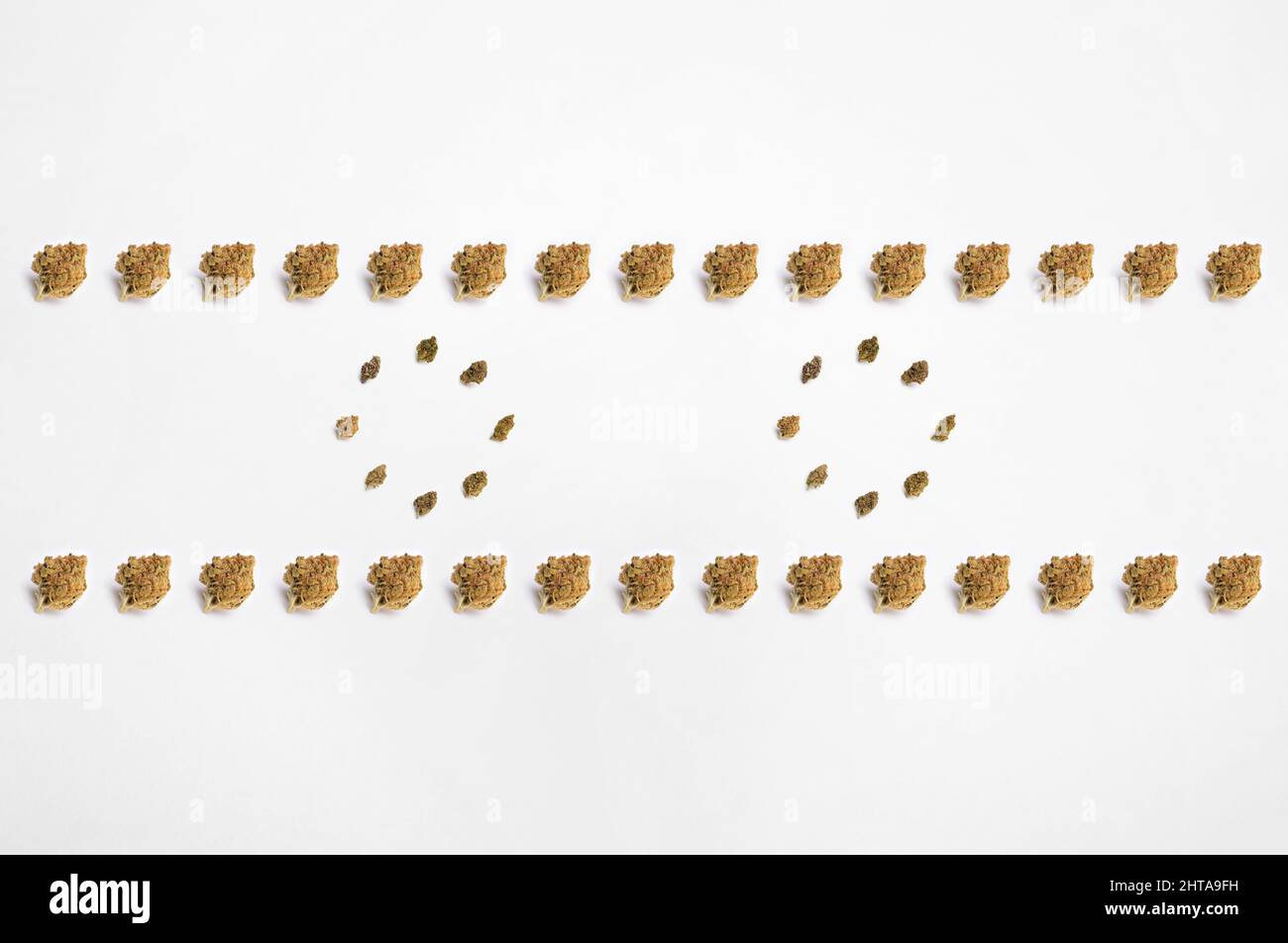 Texture background of dried cannabis buds Stock Photo - Alamy