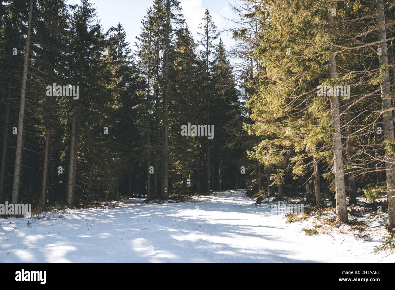 Beautiful landscape end winter hi-res stock photography and images - Alamy