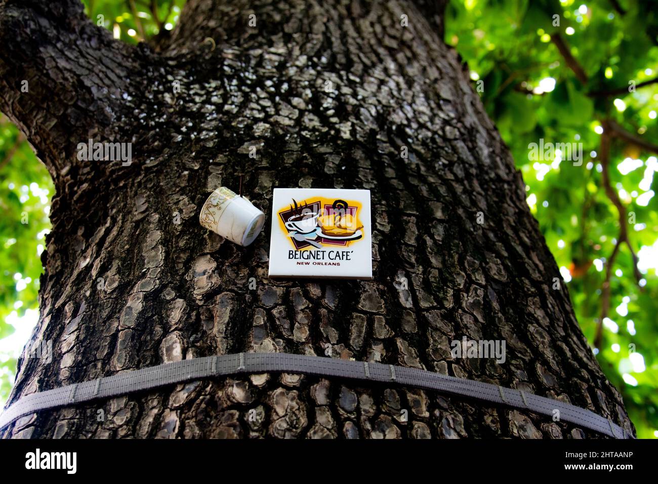 Beignet box hi-res stock photography and images - Alamy