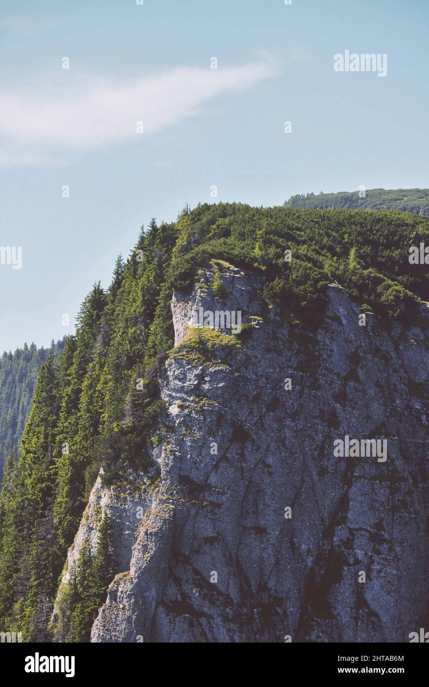 Vertical shot of a cliff partially covered in greenery at Ceahlau ...