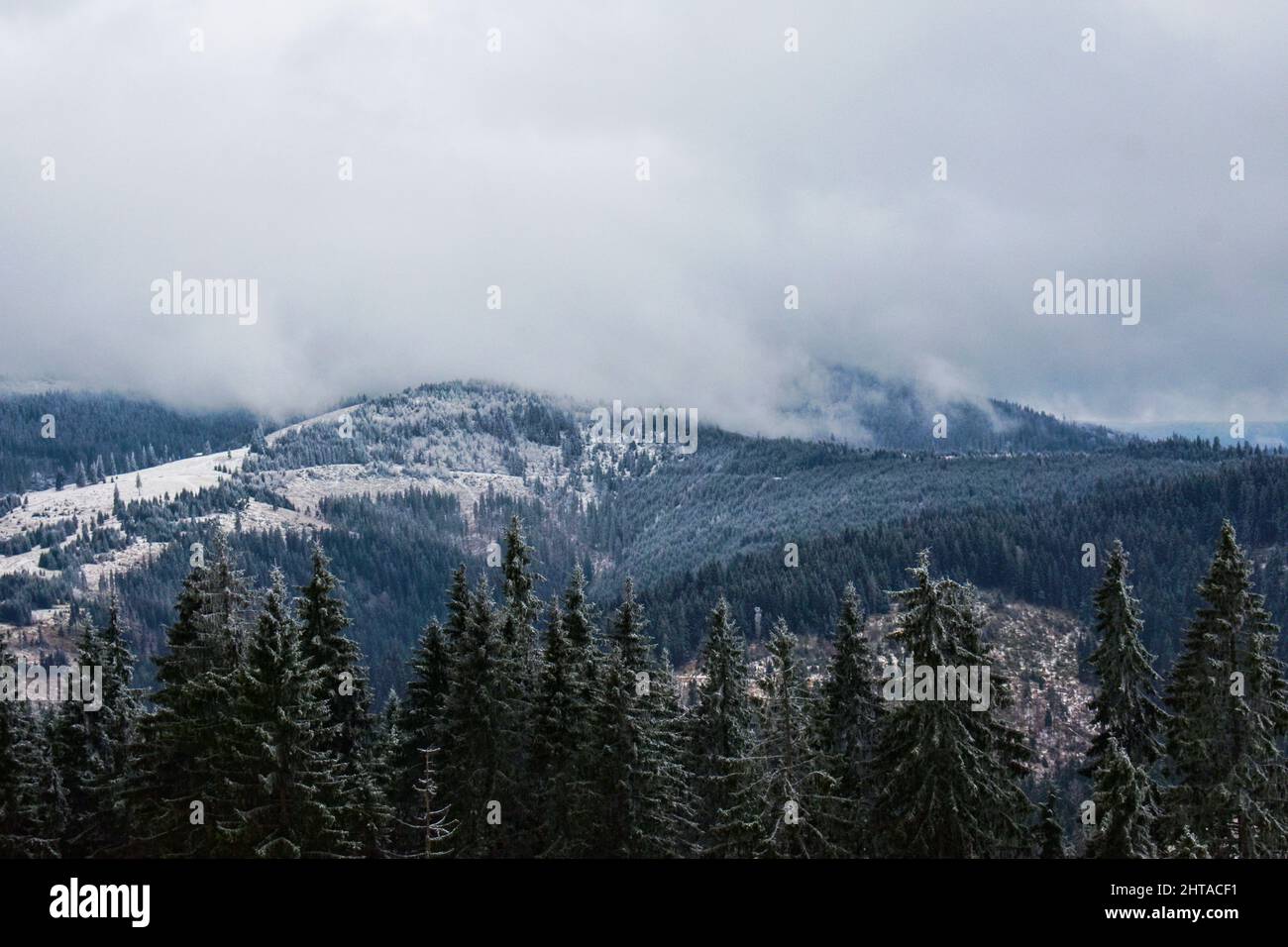 Stunning landscape of snow-capped forest mountains lost in the fog in ...