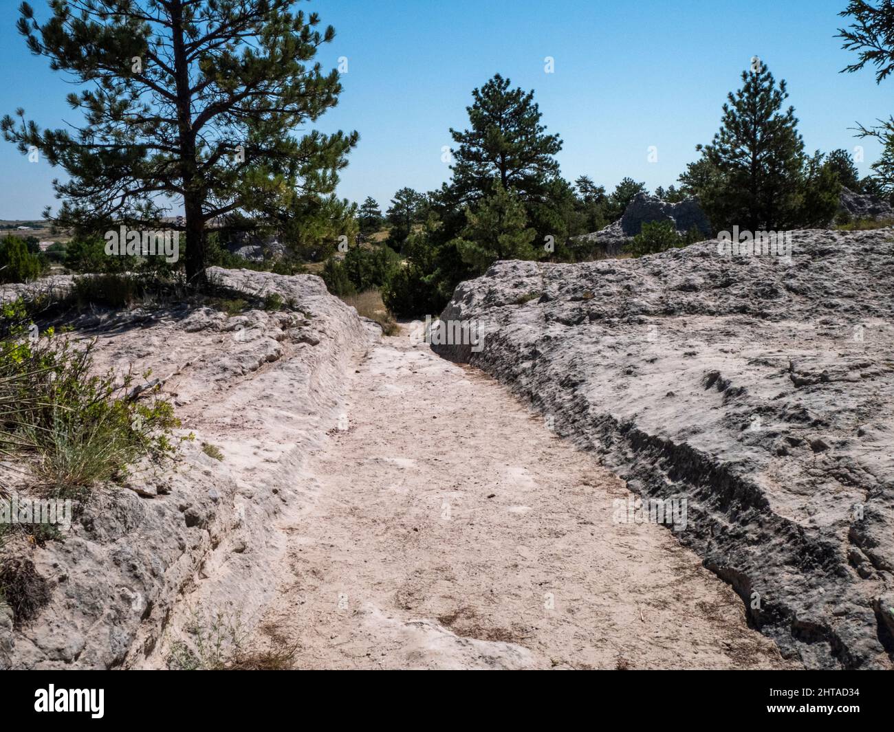 Wagons on trail hi-res stock photography and images - Alamy