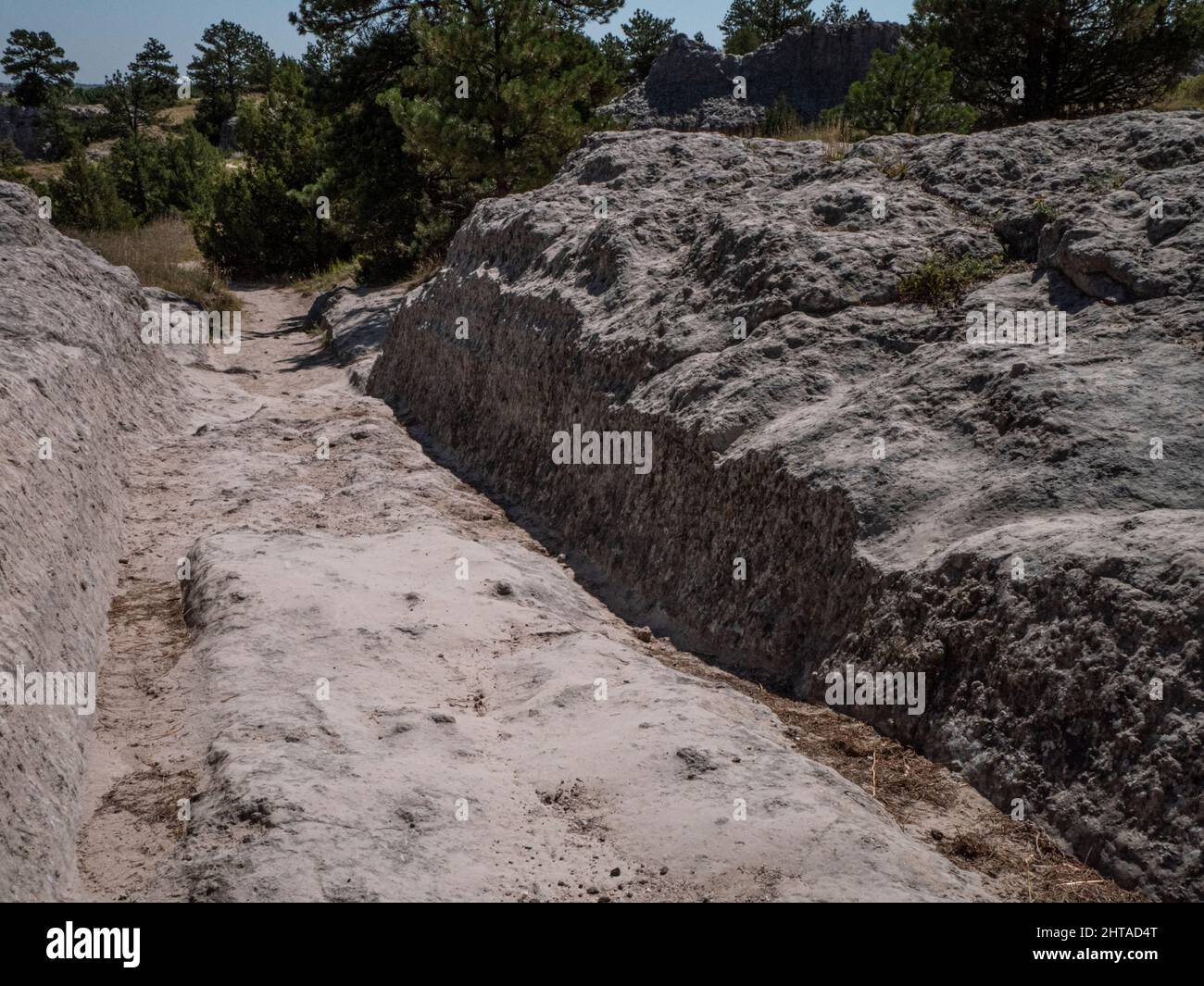 Wagons oregon trail hi-res stock photography and images - Alamy