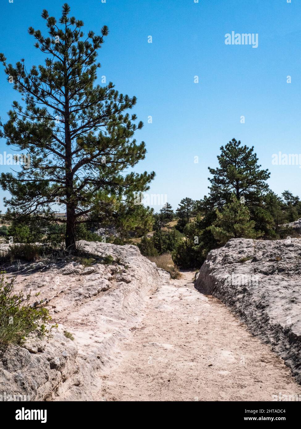 Wagons oregon trail hi-res stock photography and images - Alamy