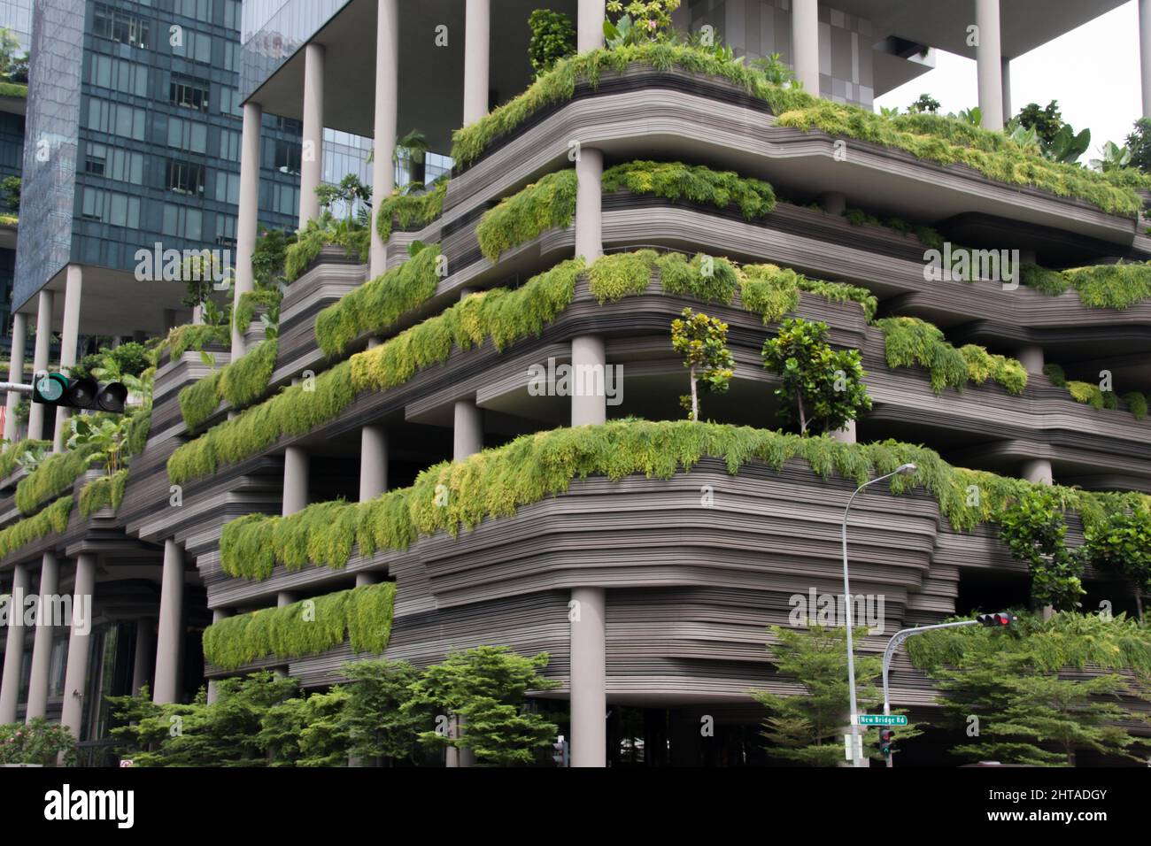 Beautiful green balconies in Singapore Stock Photo - Alamy