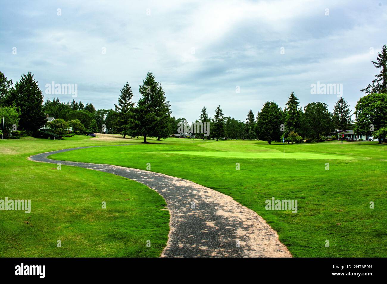 Aerial shot of a beautiful forest on a sunny day Stock Photo - Alamy