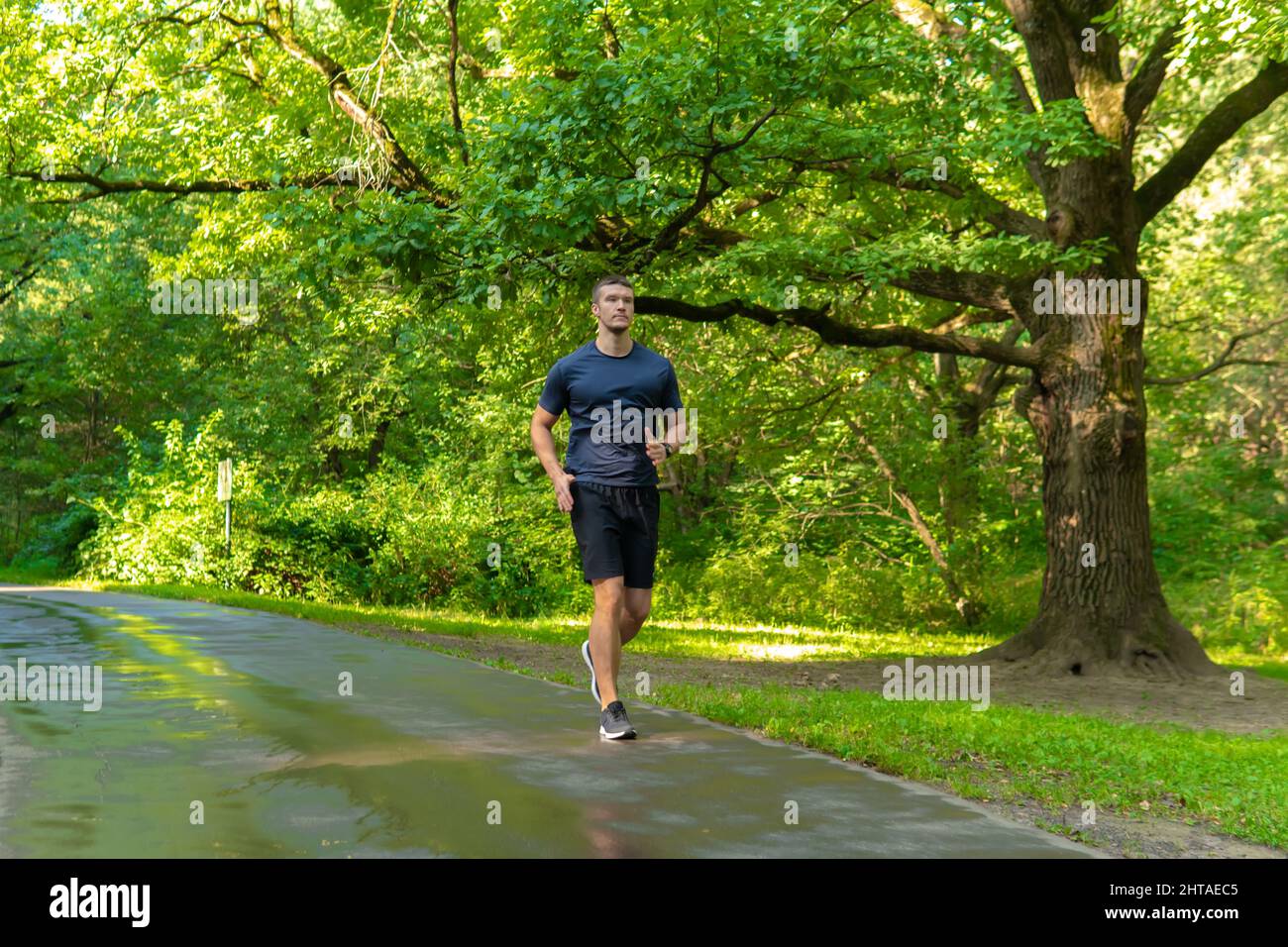 A man athlete runs in the park outdoors, around the forest, oak trees ...
