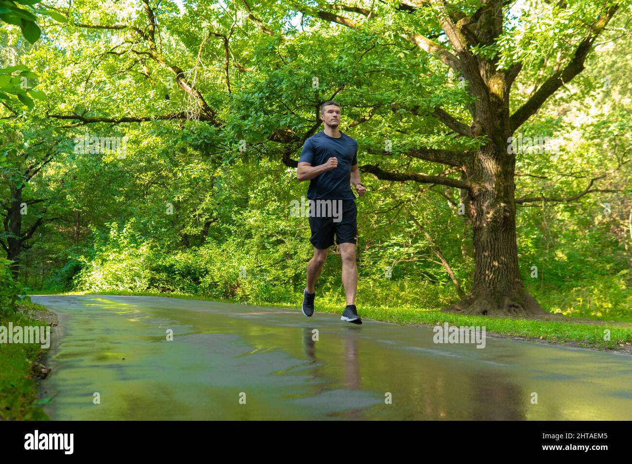 A man athlete runs in the park outdoors, around the forest, oak trees ...