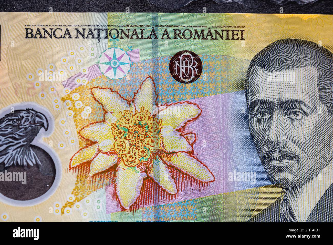 Macro shot of a Romanian 50 leu banknote. World money, inflation and ...