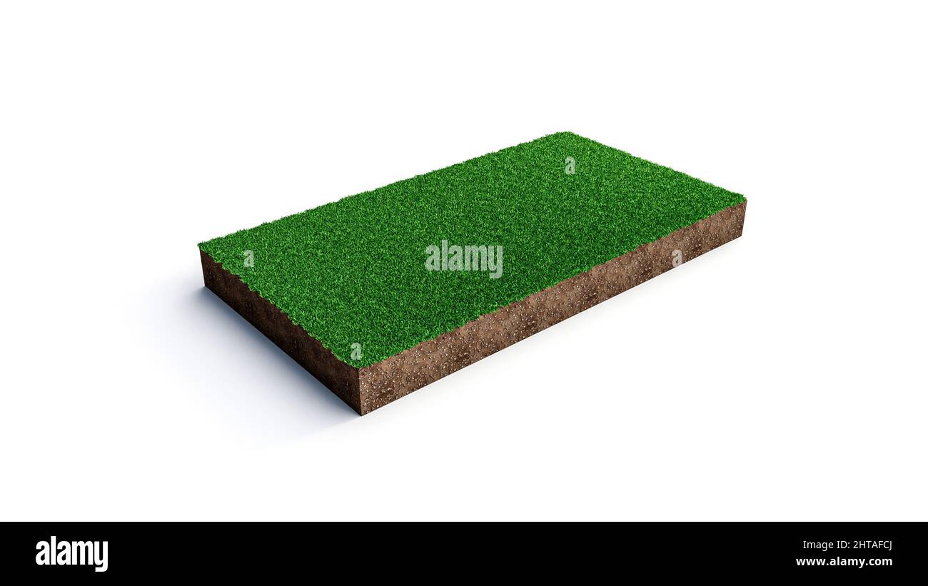 Illustration of the rectangle grass patch soil earth cut piece isolated ...