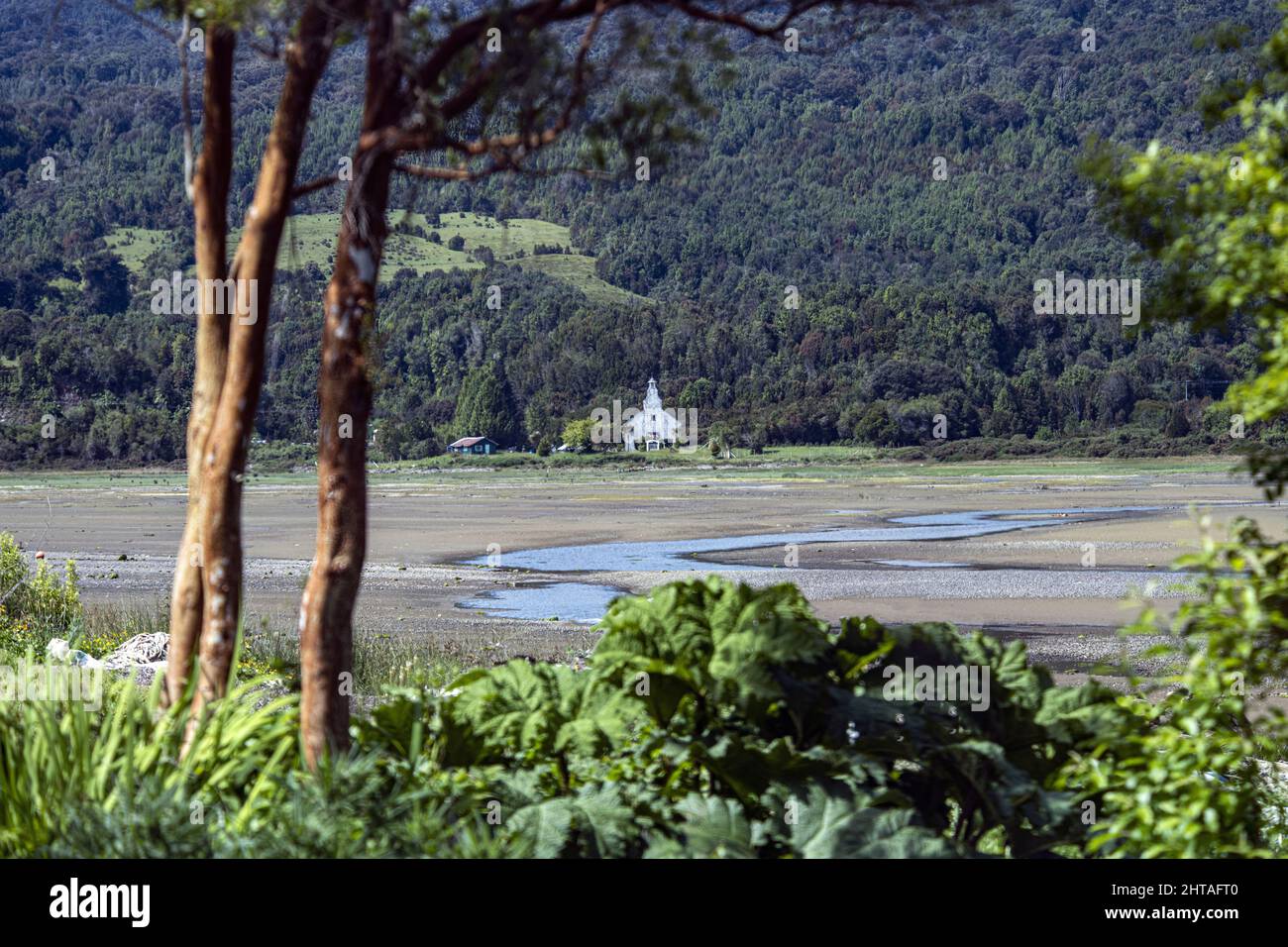 Beautiful view of a landscape with a river and trees in the Chilean ...