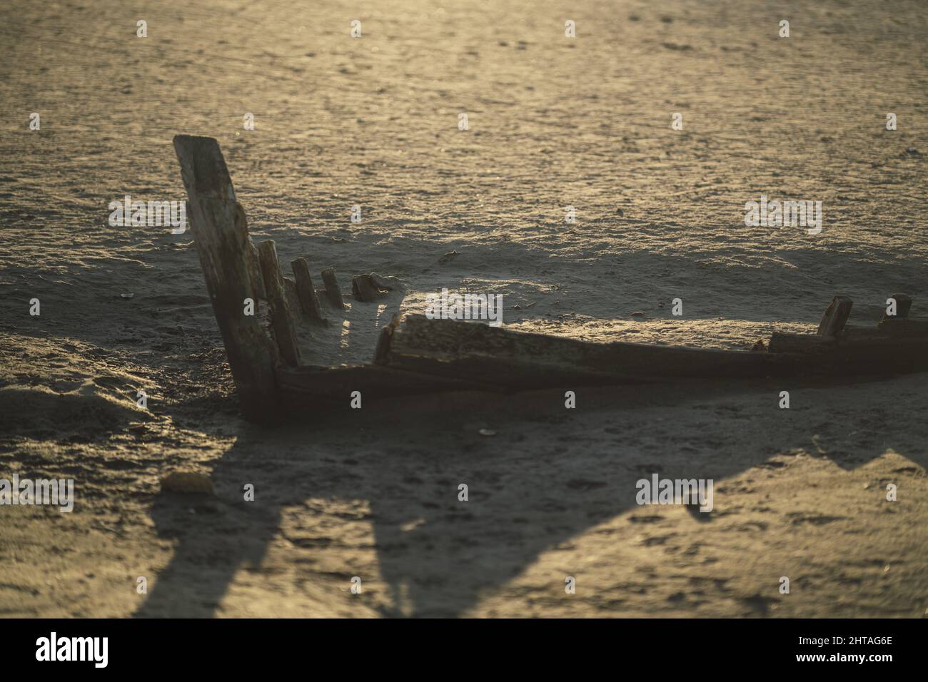 Beautiful view of fields of sand with a broken aged wooden timber and ...