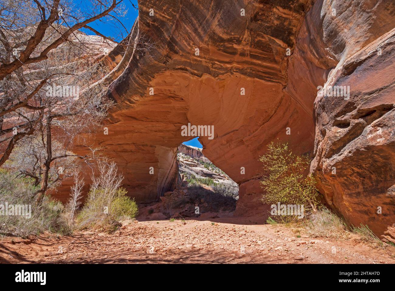 Looking Through Kachina Bridge in the Desert in Natural Bridges ...
