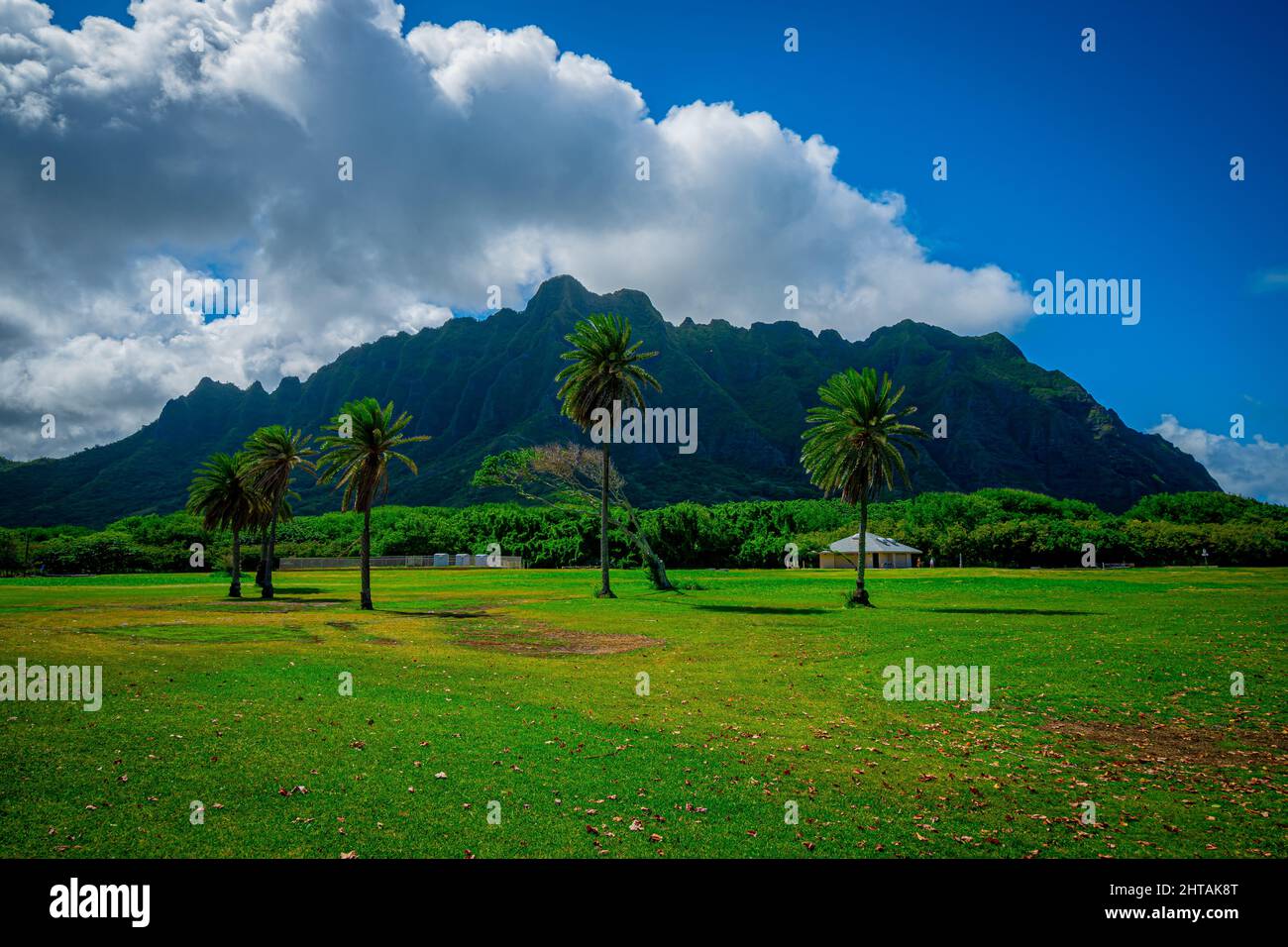 Beautiful view of mountains and palm trees in Ahupua'a 'O Kahana State ...