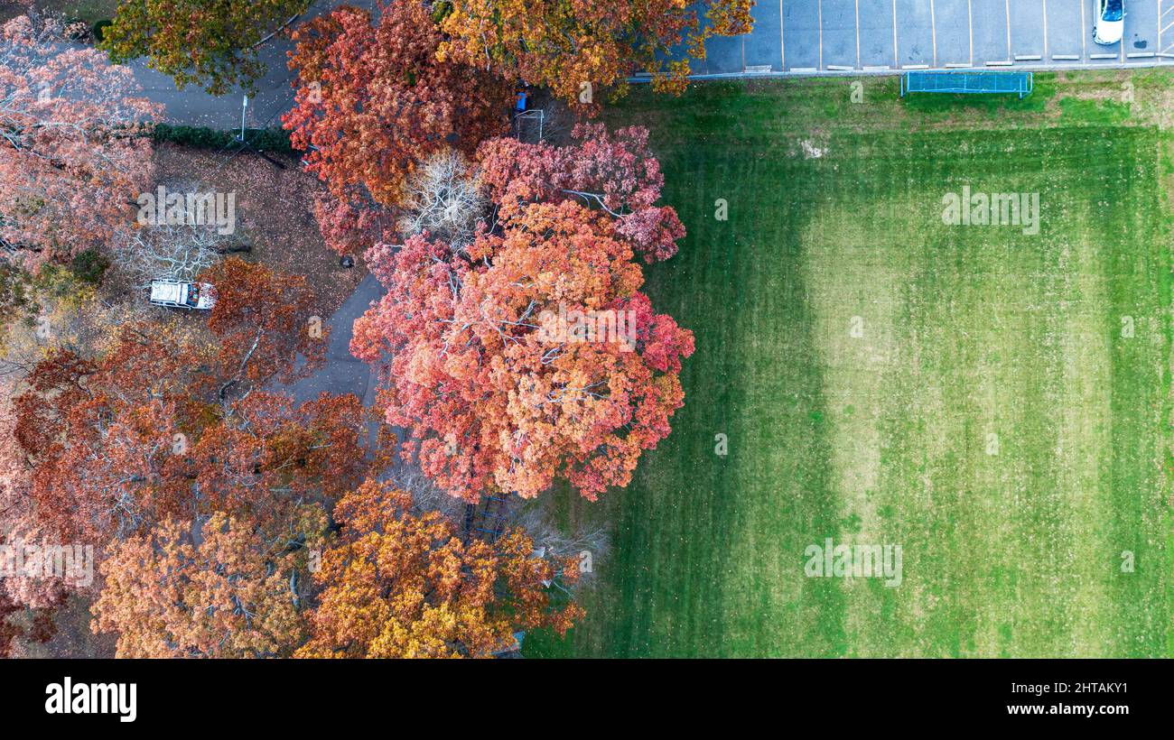 Aerial view above a park during the autumn season with beautiful fall ...